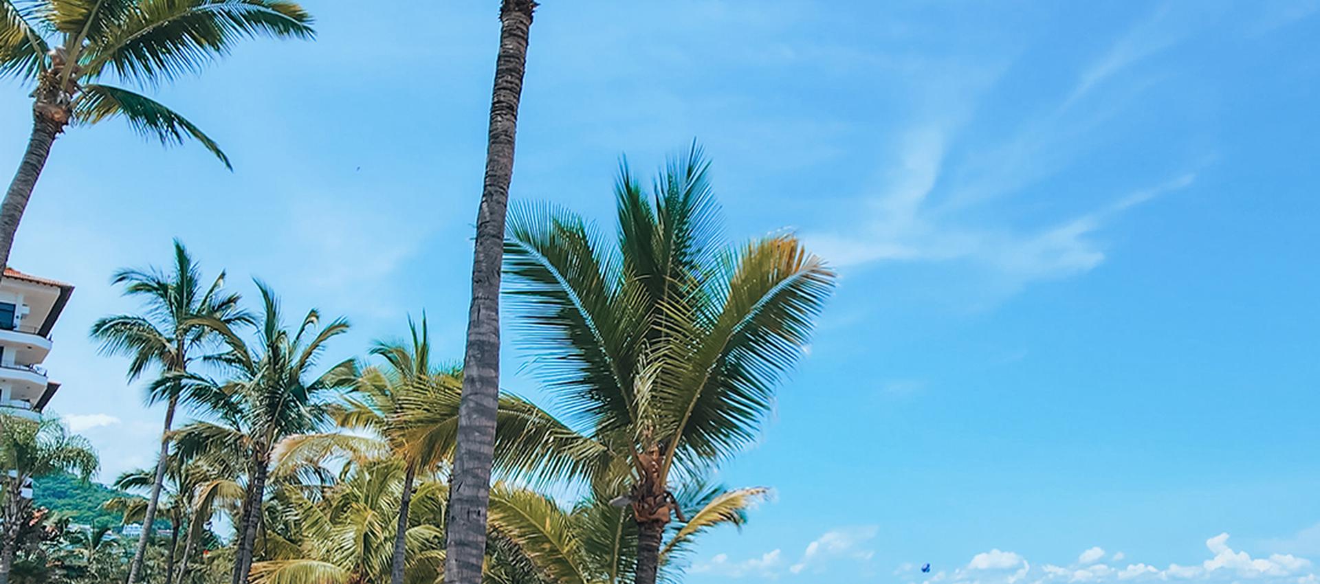 Un escape a la playa Las Ánimas - Pinnacle Resorts