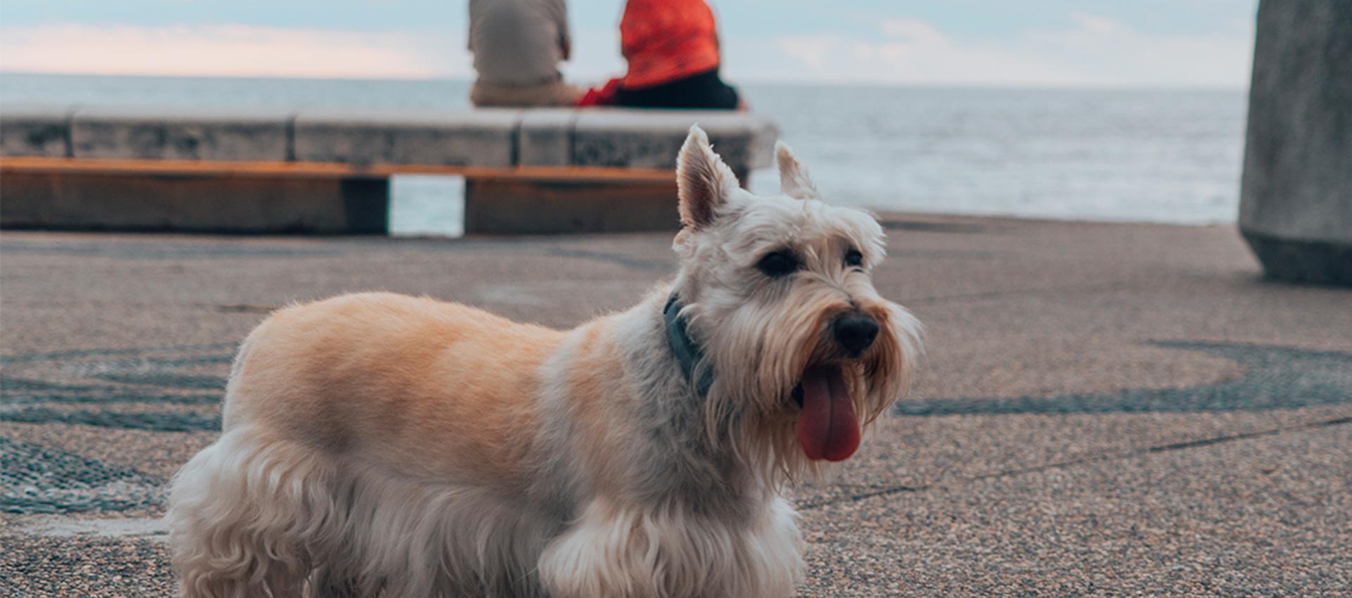 Welcome to The Resort by Pinnacle Neighborhood - Pinnacle Resorts